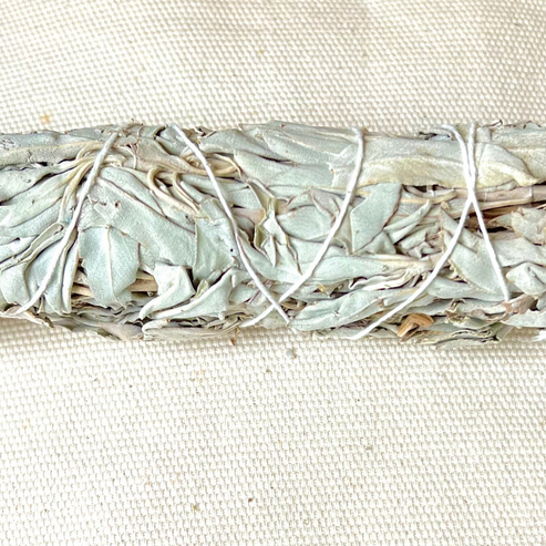 Bâtonnet de Sauge Blanche de Californie – Purification et Protection 🌿 ...